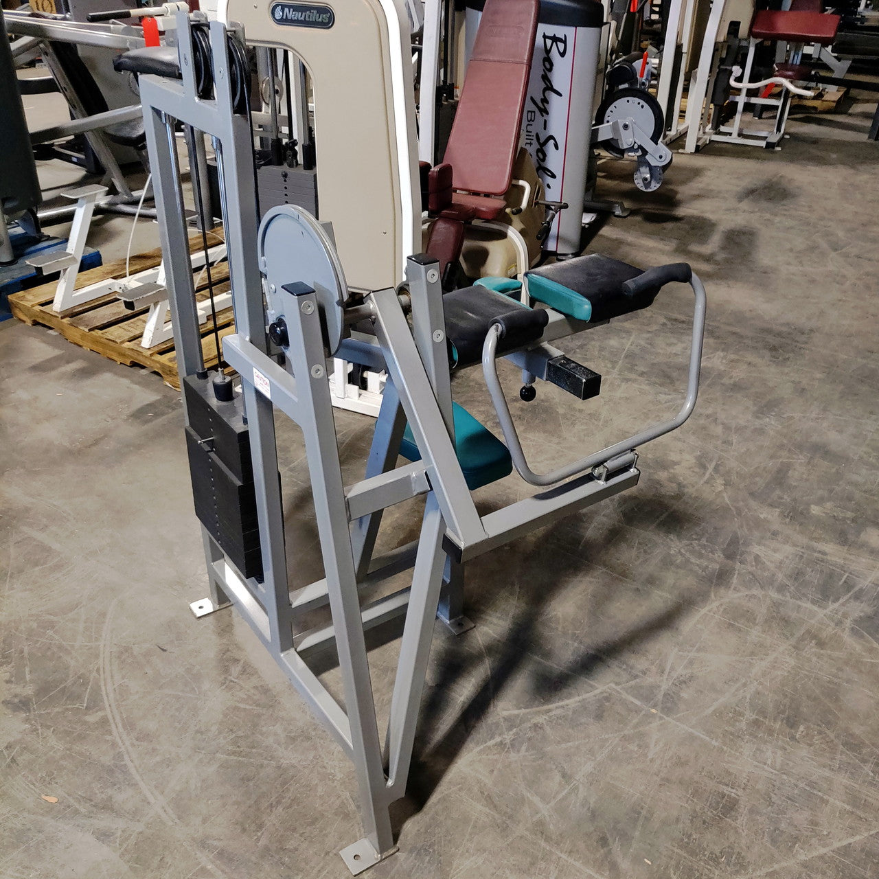 Cybex Classic Bicep Curl Commercial Grade