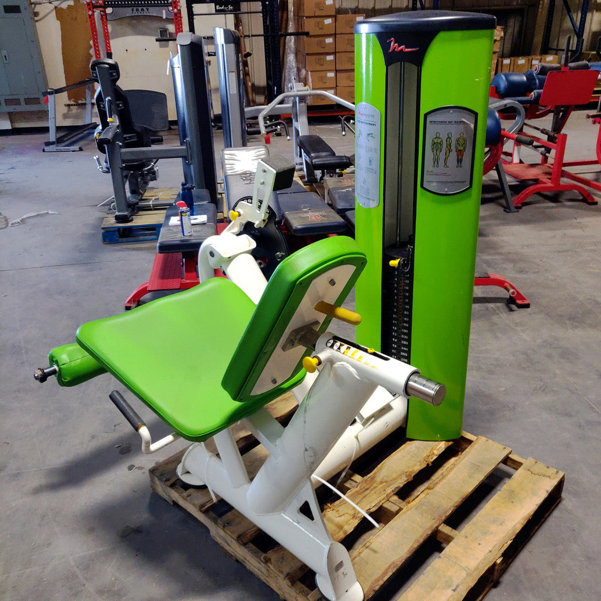 Freemotion Leg Extension Machine