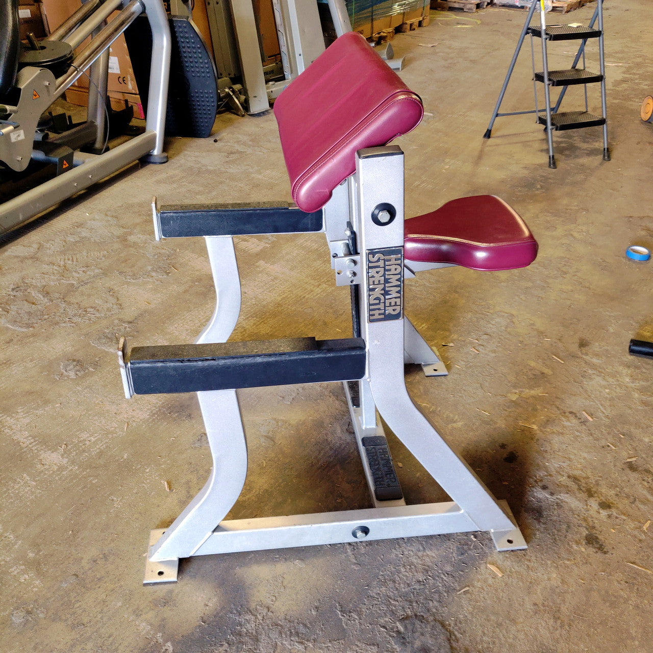 Hammer Strength Preacher Curl Bench