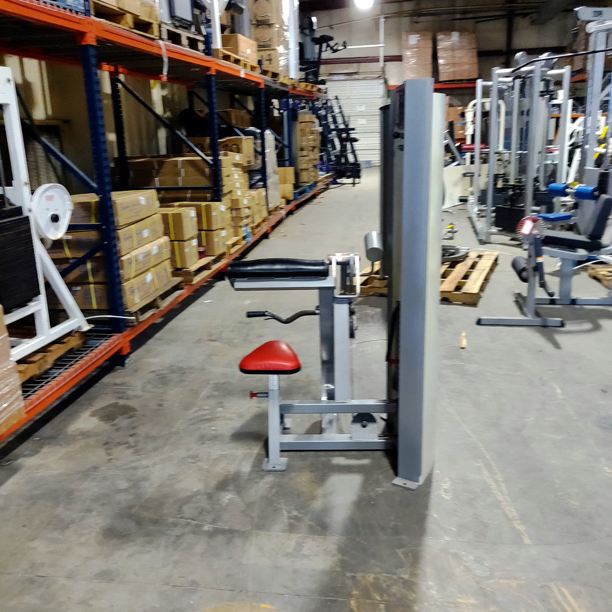 Promaxima Bicep Curl