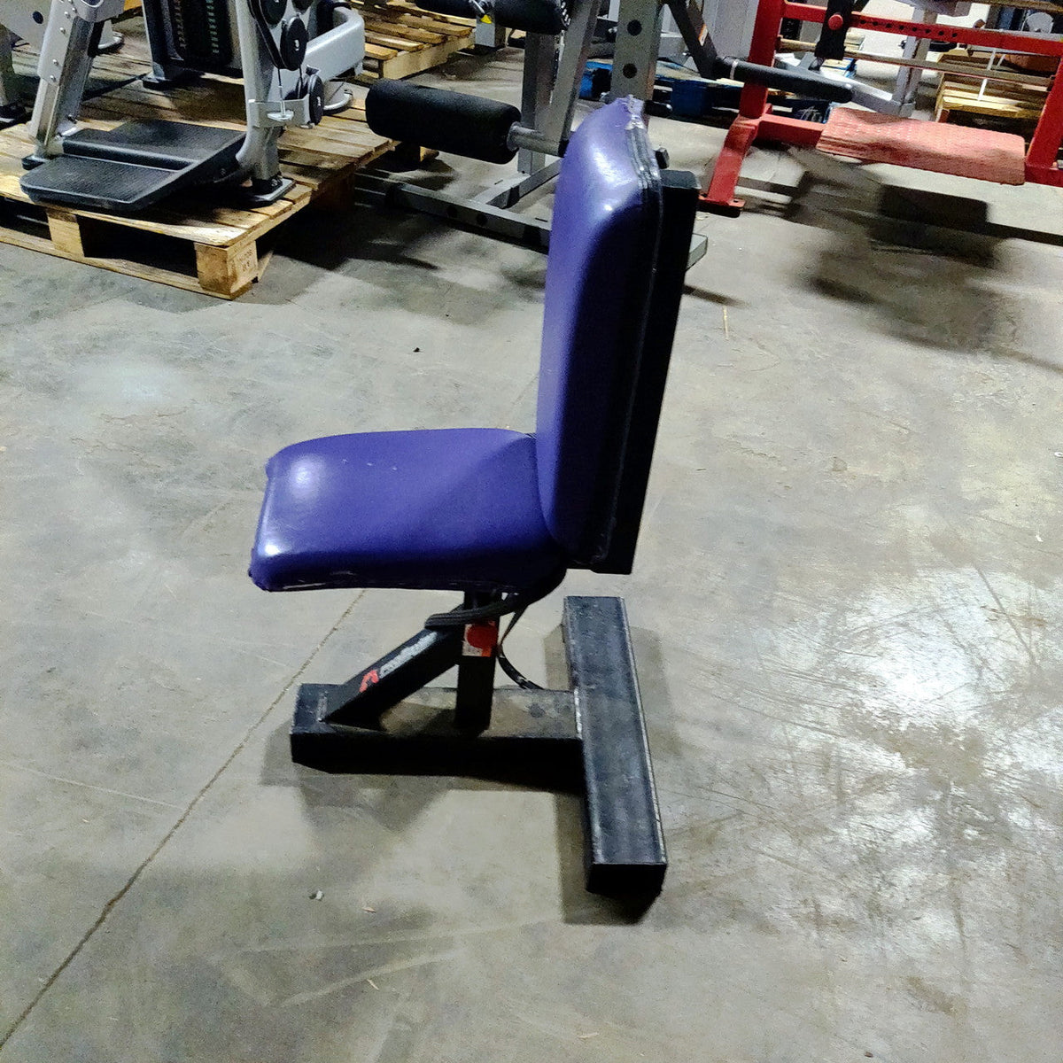 Promaxima Utility Bench