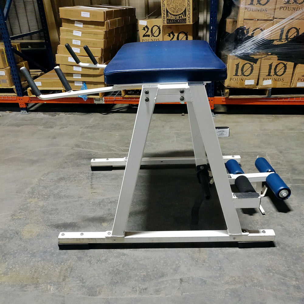 Buy Reverse Hyper Machine | Lower Back & Rehab Strength - Freedom ...