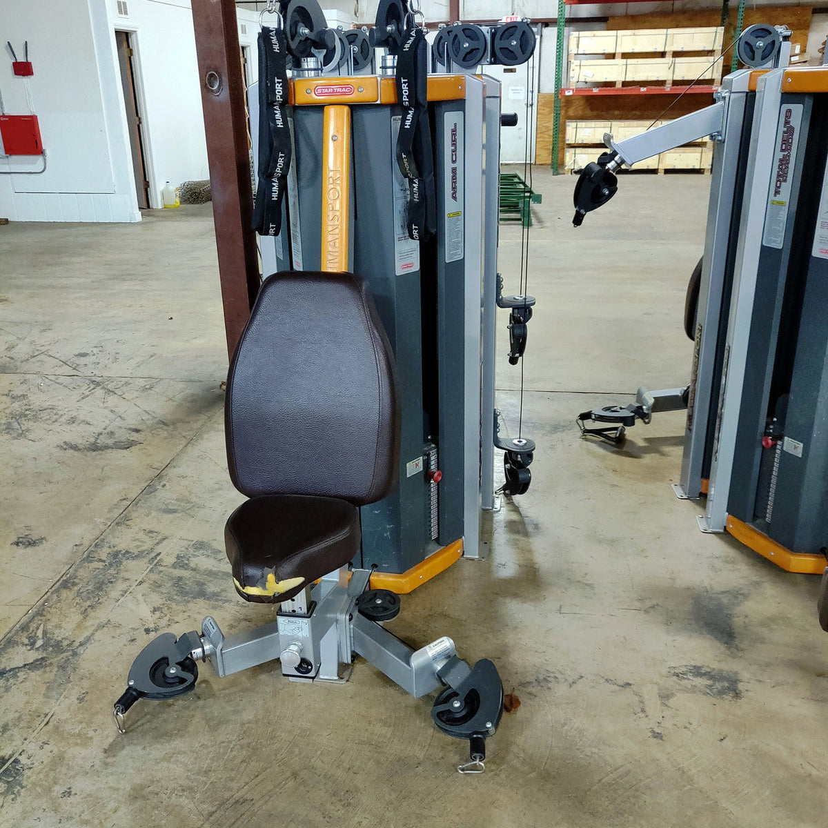 Star Trac Humansport Arm Curl Ab Bench