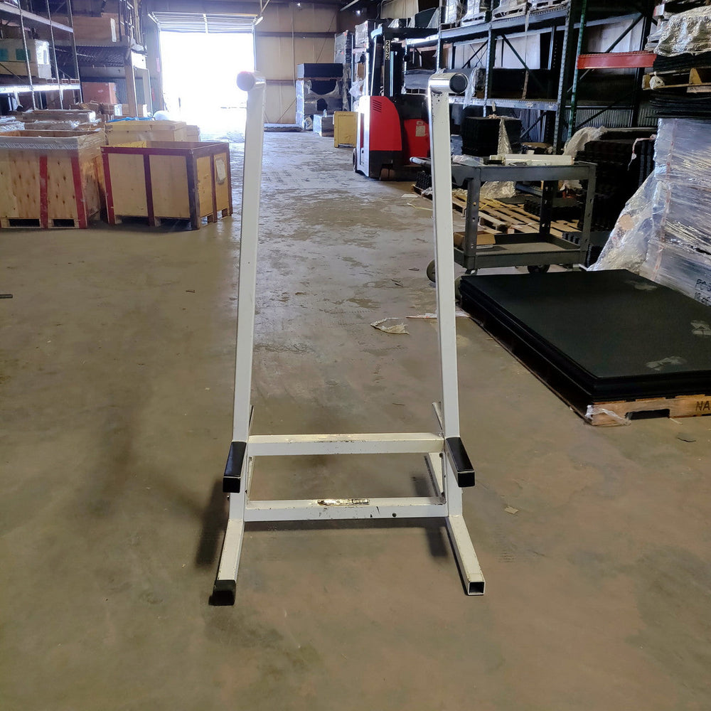 Unbranded Freestanding Dip Station