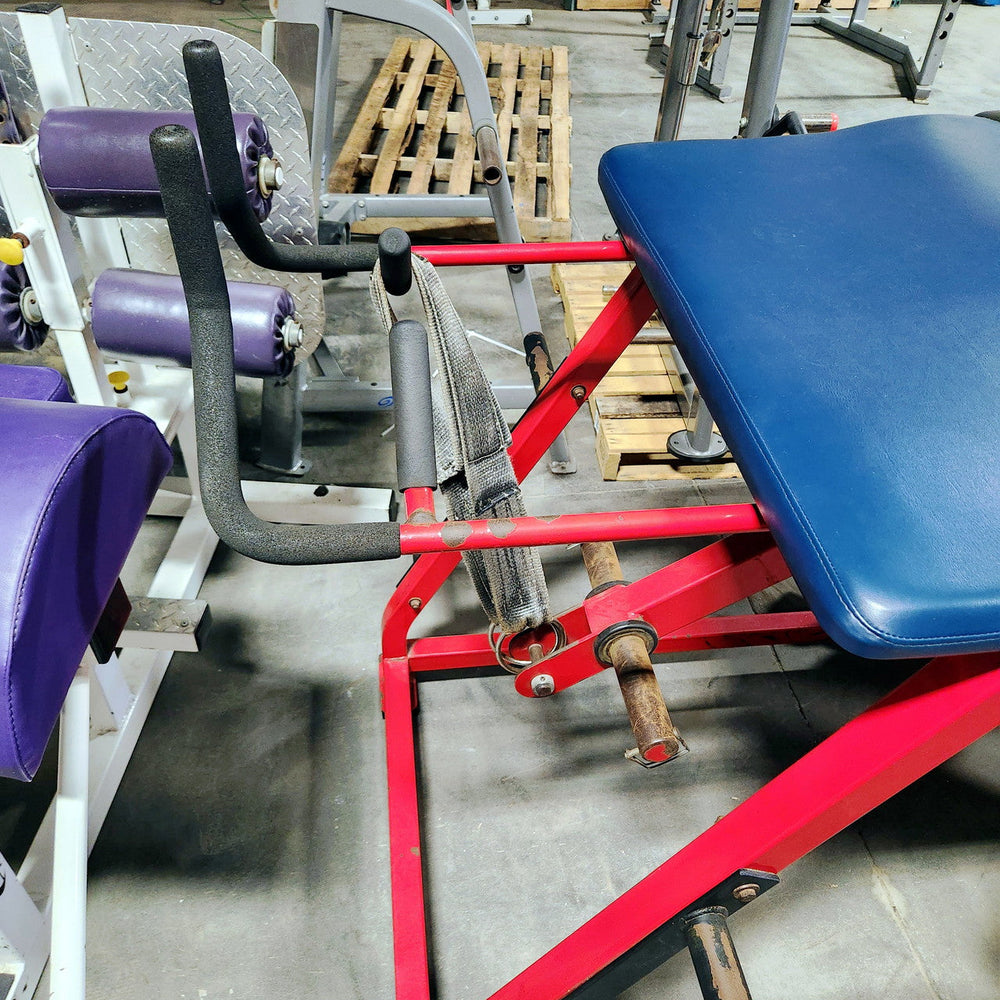 Wilder Reverse Hyper Westside Strength Machine