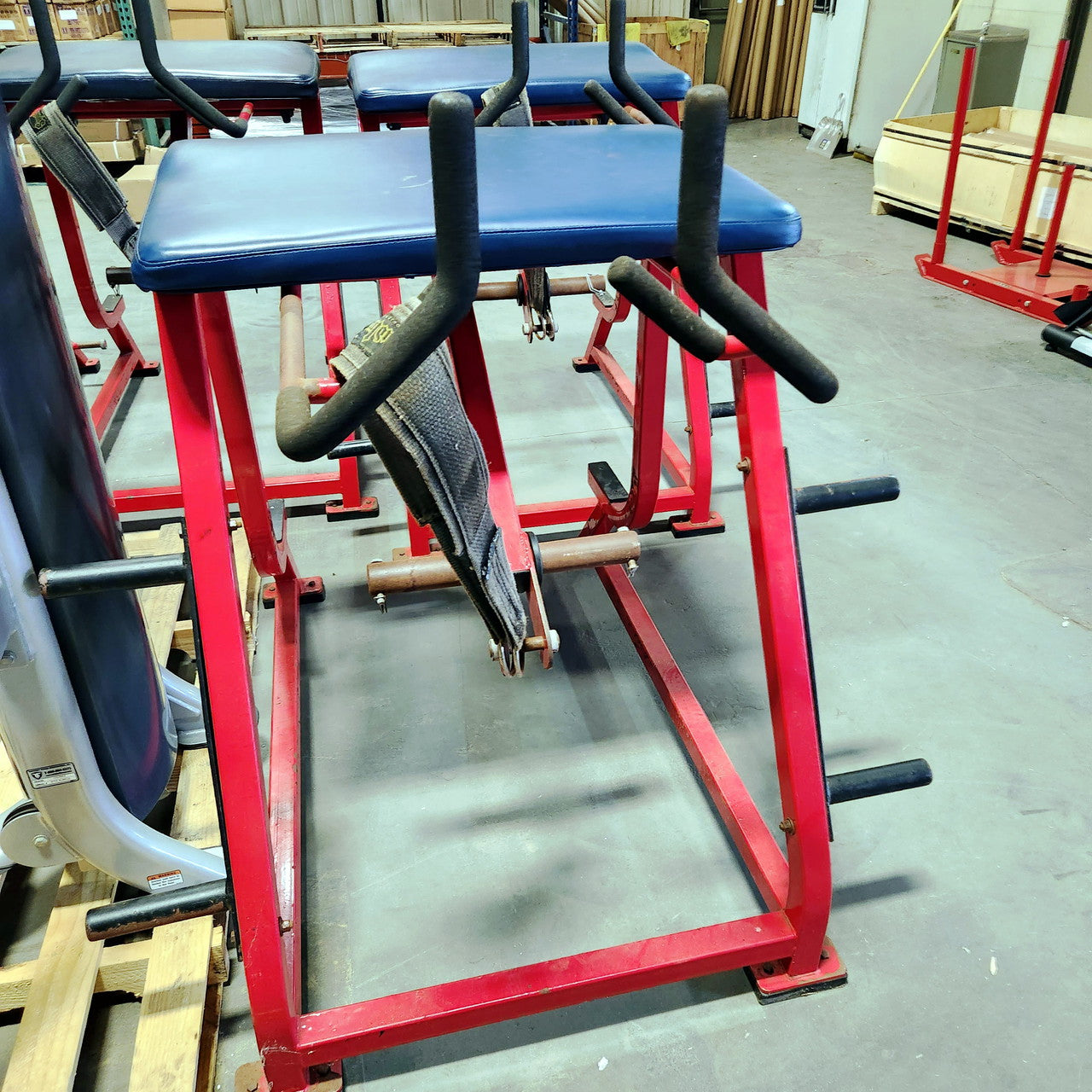 Wilder Reverse Hyper Westside Strength Machine